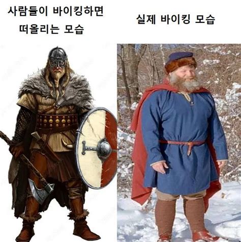 실제 바이킹 모습 2023 바이킹 만화 새