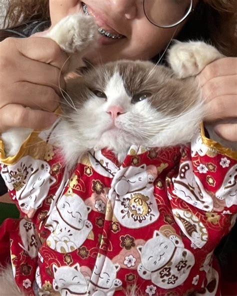 Cursedfangirls★彡 On Twitter Rt Opywpy Ame🤣🤣 📌 Instagram