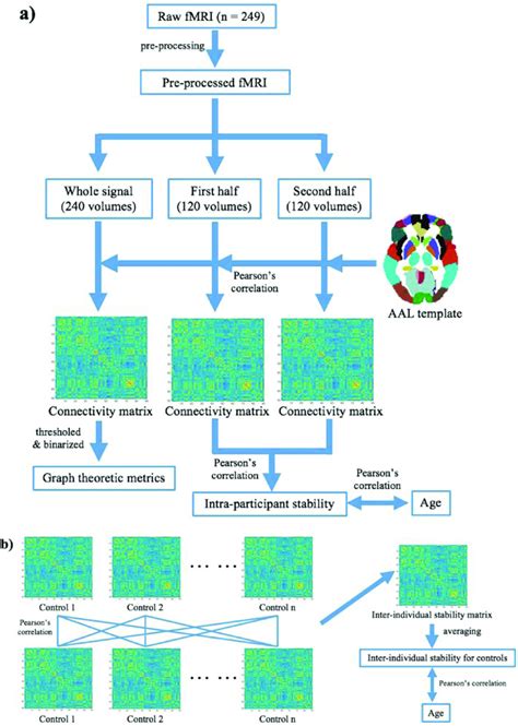 Schematic Showing The Functional Connectome Analysis Pipeline A 90×90