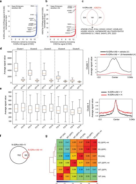 Phase Separation Drives Aberrant Chromatin Looping And Cancer Development Pmc