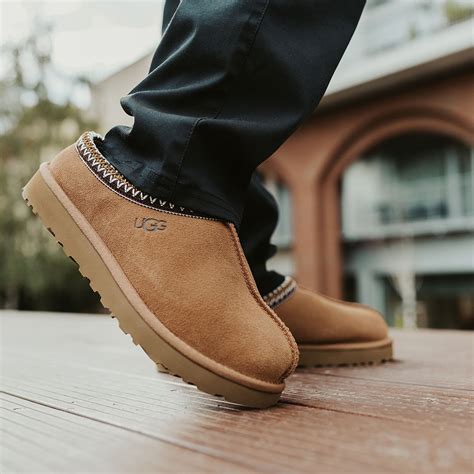 Ugg M Tasman Chesnut Footshop