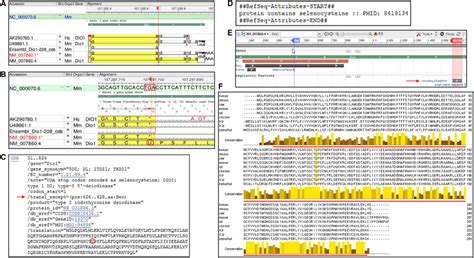 Manual Curation Annotation And Analysis Of Selenoprotein A Genome Download Scientific