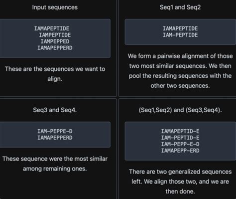 Multiple Sequence Alignment Flashcards Quizlet