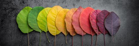 Supporting The Un Sustainable Development Goals Sdgs Central Pattana