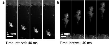 Exfoliated Fragments Of The Dosage Form With Peg 12k Excipient At