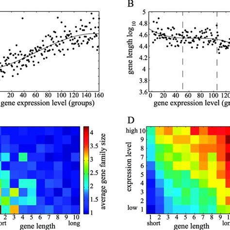 Gene Length And Expression Level As Primary Genic Properties A