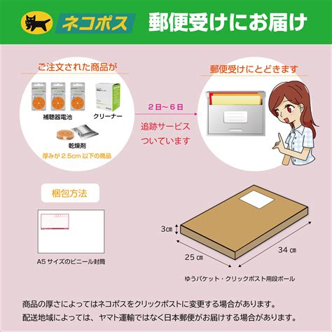 補聴器電池10パックpr481360粒フォナックphonakドイツ製 4043752281019 立川補聴器センター