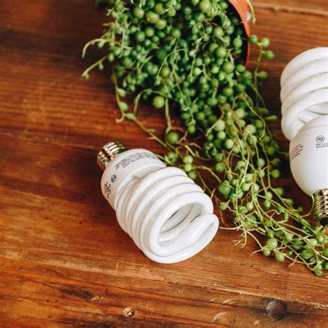 Grow Light Plant Bulb Urban Sprouts