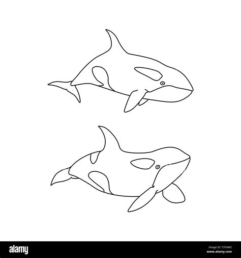 Estencil De Orca