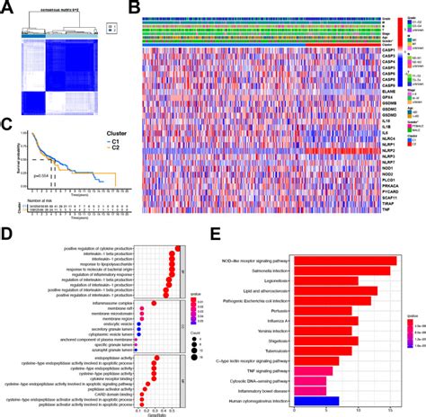 Development Of A Prognostic Pyroptosis Related Gene Signature For Head And Neck Squamous Cell