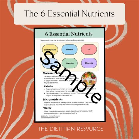 The 6 Essential Nutrients Handout The Dietitian Resource
