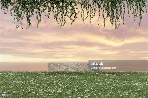 Abstact 3d 렌더링 일몰 자연 배경 꽃과 잔디에 돌 연단 Poduct 디스플레이 화장품 모형 등 상단에 담쟁이 잎으로 제출 0명에 대한 스톡 사진 및 기타 이미지