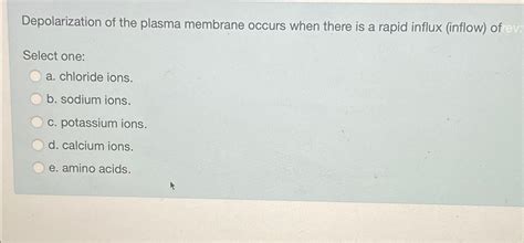 Solved Depolarization Of The Plasma Membrane Occurs When