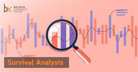 Survival Analysis Big Data Experience Center Bx