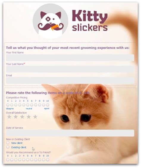 How To Create Salesforce Surveys That Elicit Useful Feedback