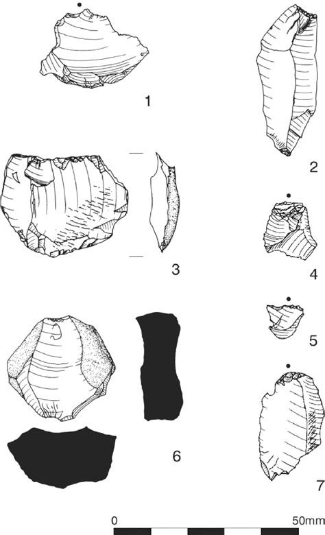 Chipped Stone Artefacts 1 Tp 1 007 Flake 2 Tp 2 007 Sample 24 Download Scientific