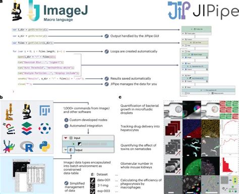 Volodymyr Nechyporuk Zloy On Linkedin Jipipe Visual Batch Processing For Imagej Nature Methods