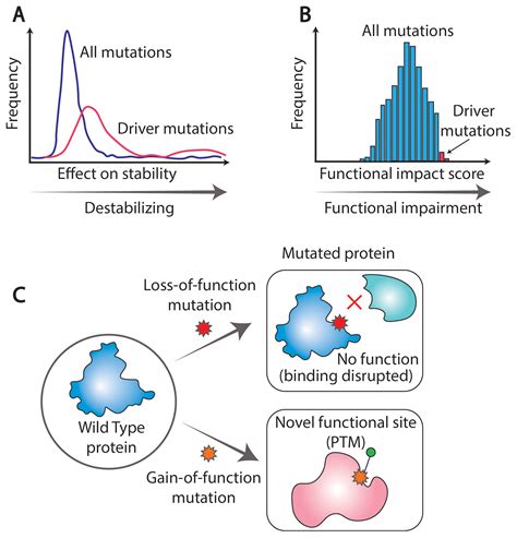 Cancer Driver Mutations Predictions And Reality Pmc