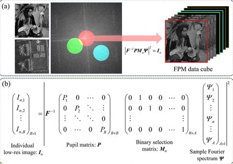 forward model of fpm a sketch of image formation process in fpm b
