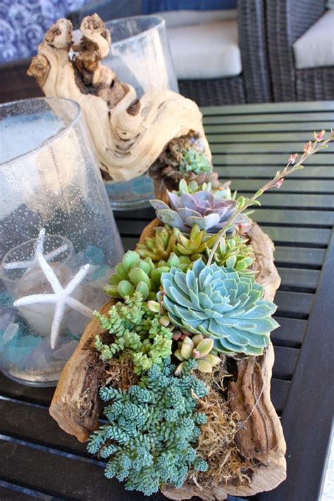 DIY Log Succulent Planter Sounds Like An Excellent Idea For Your Garden