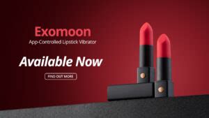 Safe Sex Toy Storage Pleasure Is Just A Remote Click Away