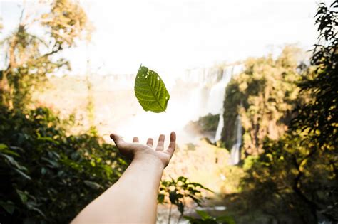 Ejes De La Sustentabilidad