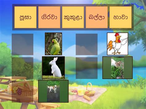 වත්තට එන සත්තු Match Up