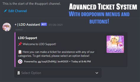 Create You A Professional Discord Bot By Mcleving Fiverr