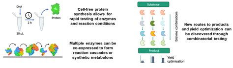 Industrial Metabolism And Biocatalysis Centre For Agriculture And The Bioeconomy