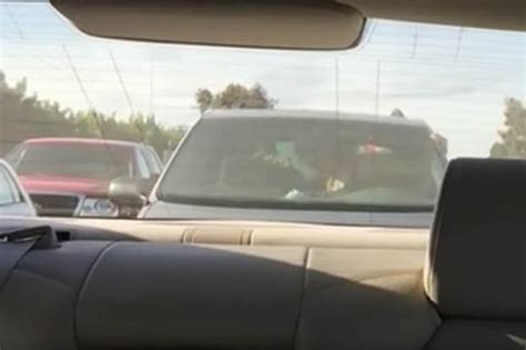 WATCH Randy Couple Caught Having Sex During Rush Hour Traffic Jam Daily Star