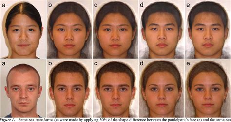Figure From Facial Resemblance Increases The Attractiveness Of Same