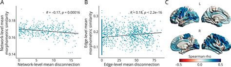 Conventional Mri Based Structural Disconnection And Morphometric Similarity Networks And Their