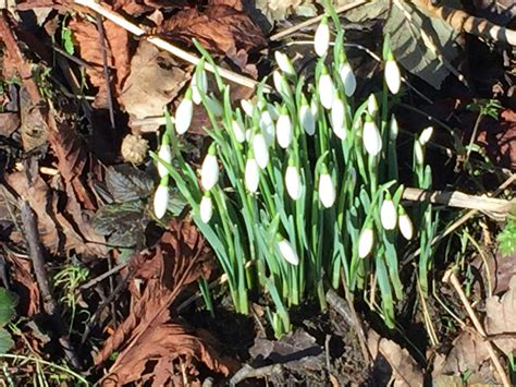 Curing Sexual Inexperience Every Body Loves