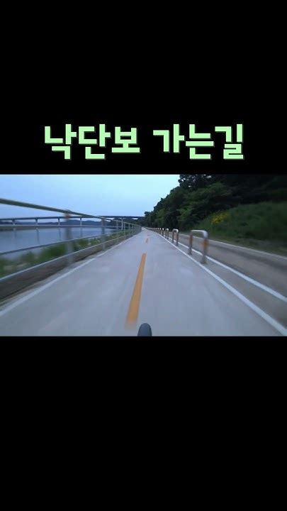 국토종주 낙단보 가는길 로드자전거 여행 쇼츠 Youtube