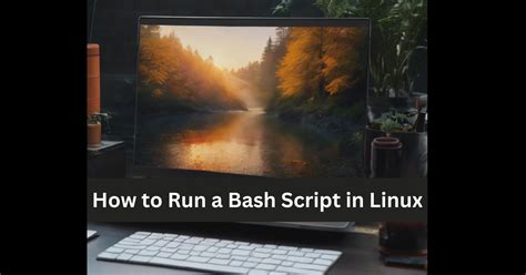 How To Run A Bash Script In Linux A Simple Step By Step Guide