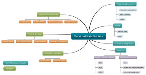Diagram Of The Configurable Elements For Building A Brain Network Model Download Scientific