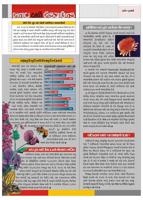 Safari 164 Pdfcoffeecom