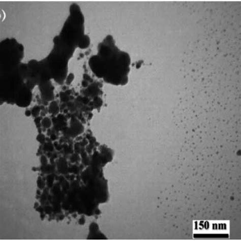 A And B TEM C FE SEM Images Of Fe O SiO Cyt Ni Cu Download Scientific Diagram