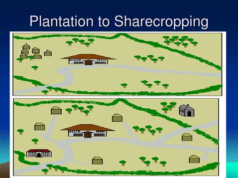 Ppt Freedmens Bureau Powerpoint Presentation Free Download Id2643626