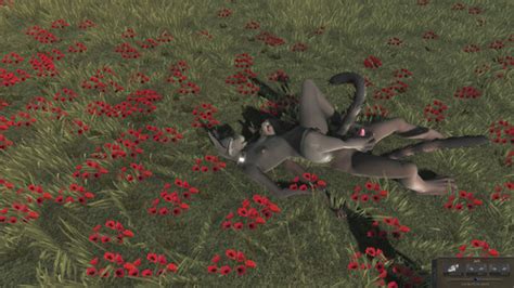 Hunt And Snare Version R31c By Ruffleneck Win Linux