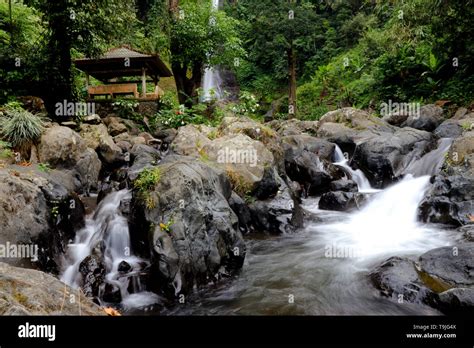 Gitgit Waterfall On Bali Indonesia With Wild Water Stream In Jungle