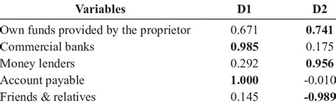 Factor Pattern Loadings Obtained After Varimax Rotation That