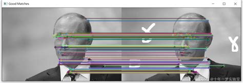 opencv samplesflann search dataset cpp在数据集中搜索查询图片 说明 FLANN 使用的简单程序
