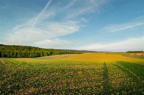 Premium Photo Blue Sky And Green Grass Field