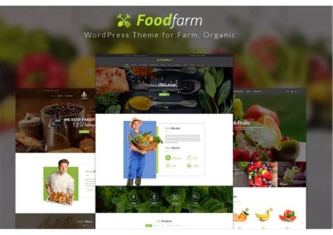Mailchimp Template PPT