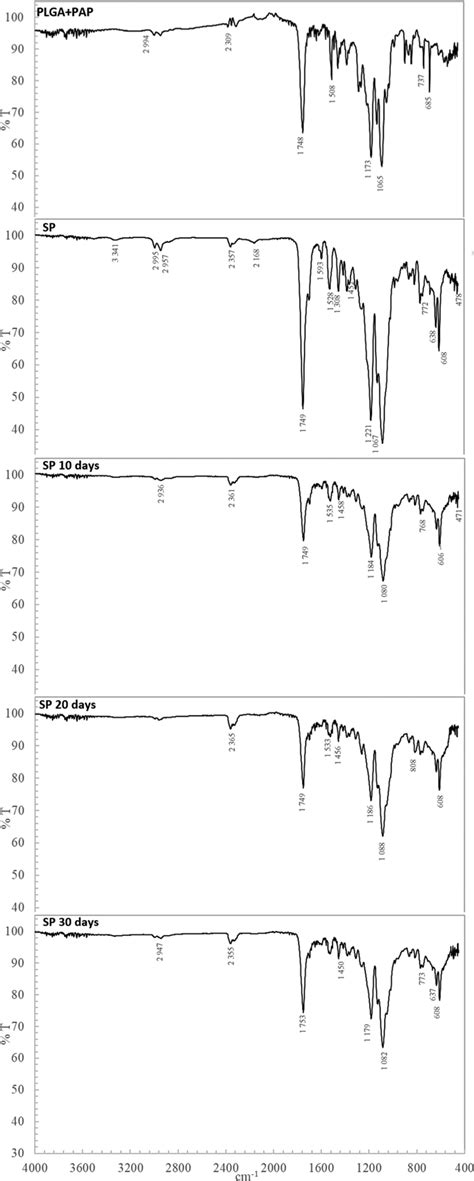 Example Of The Ftir Spectrum For Polyurethane Stent With Plga Pap Download Scientific Diagram