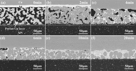 Influence Of Brazing Time On The Interfacial Microstructure Of The Download Scientific Diagram