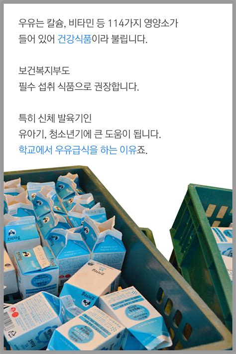 카드뉴스 우유급식 중단최저입찰제에 두 손 든 업체