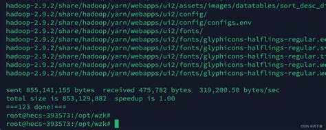 Hadoop 04 Hadoop集群 集群群起 Namenodedatanode启动 3台公网云 Resourcemanager Yarn