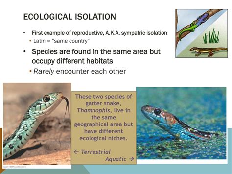 What Is Ecological Isolation At Richard Groves Blog